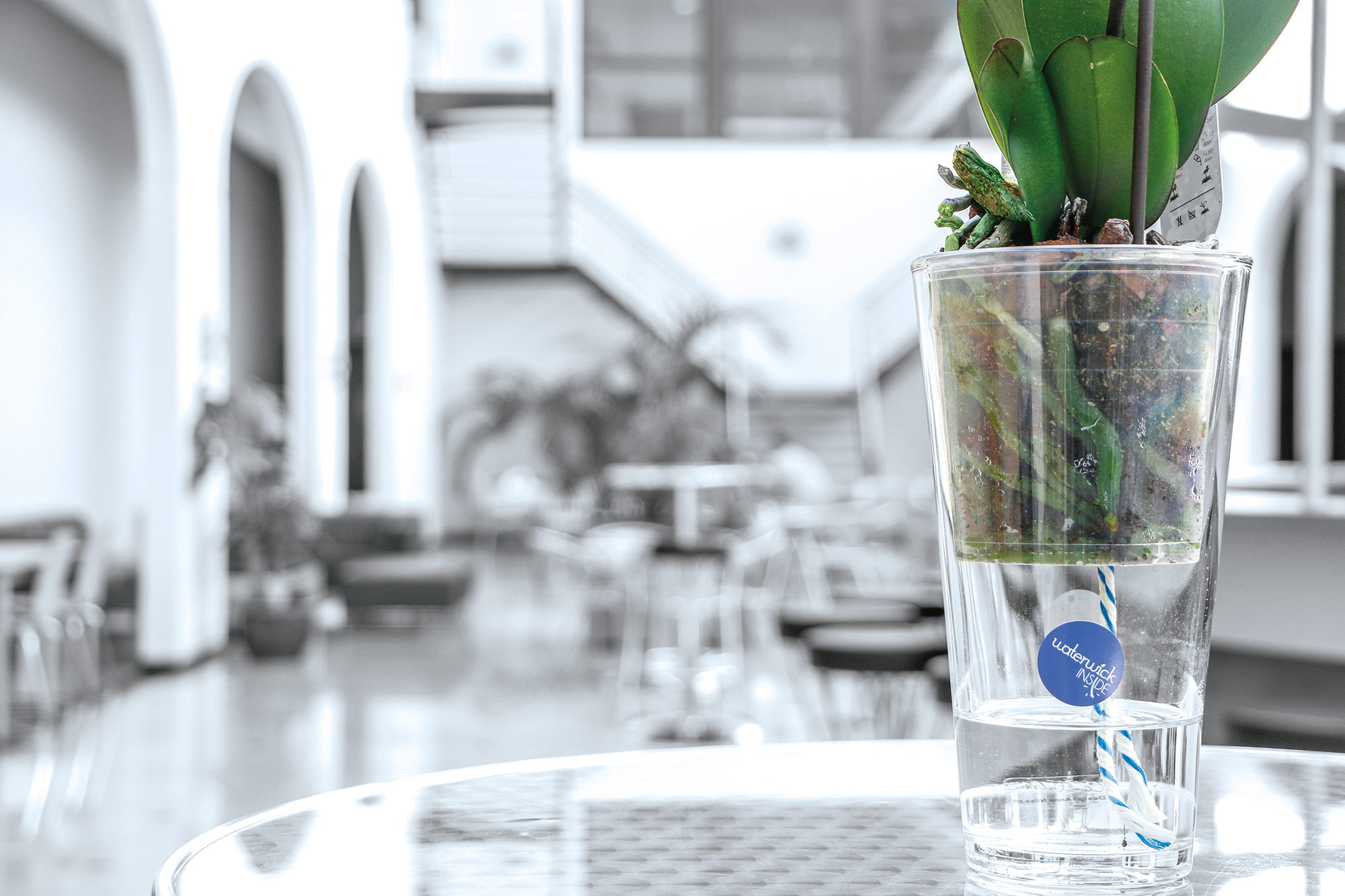 waterwick-clickstick – WaterWick